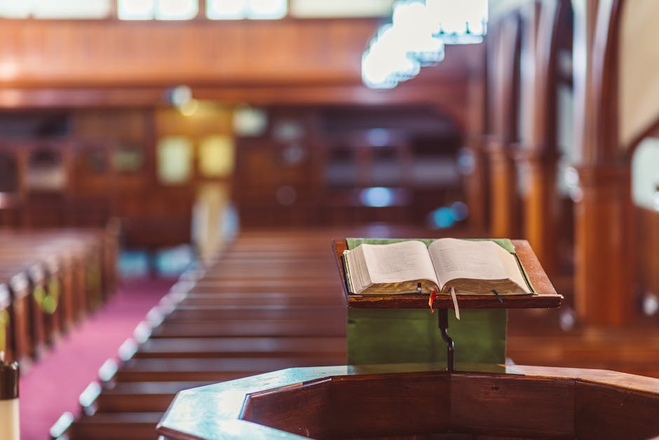 Catholic News Roundup | 12/26/2025 - Local Catholic Churches